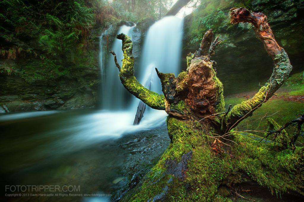 اچ‌دی‌آر (HDR) چیست؟ | فایندز